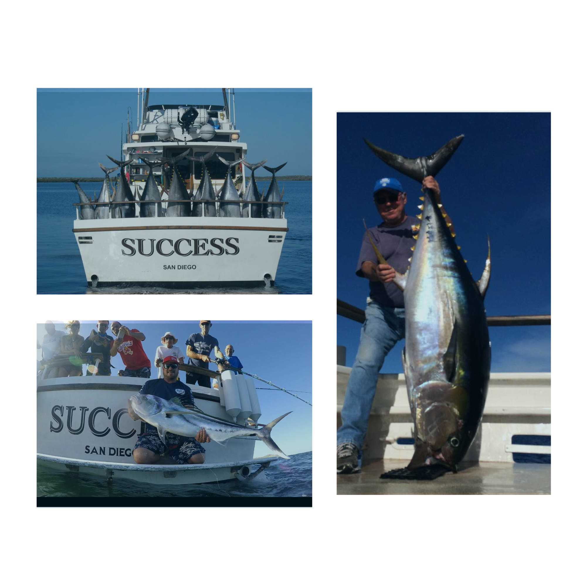Sportfishing Charters San Diego | Private Deep Sea Fishing Trips ...